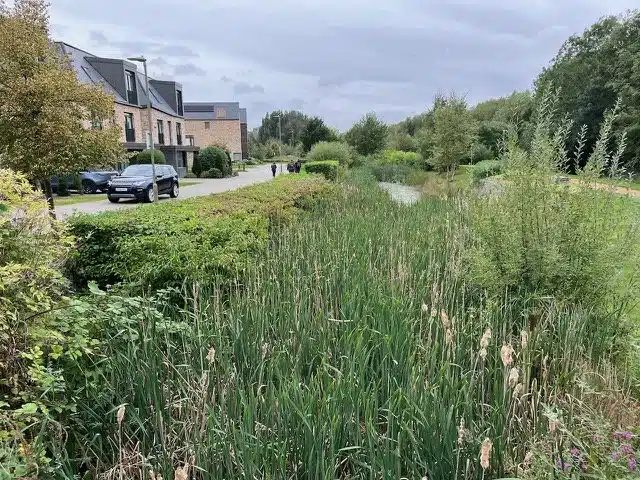 Maximising the Landscape, Ecological and Amenity Value of Sustainable ...